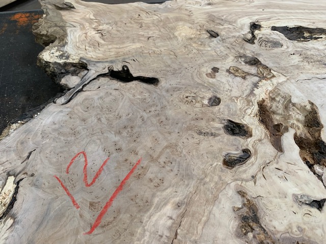 Olive Burl/Root Slab #12 (Domestic) | Tropical Exotic Hardwoods