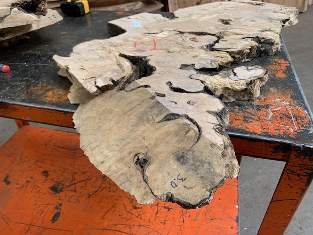 Olive Burl/Root Slab #14 (Domestic) | Tropical Exotic Hardwoods