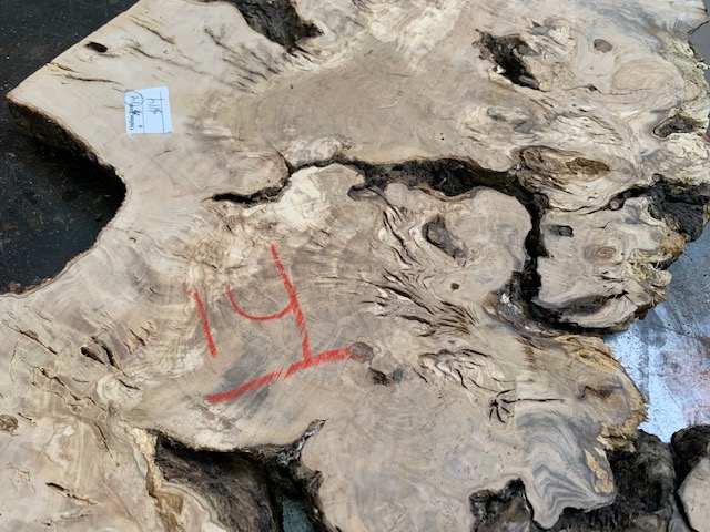 Olive Burl/Root Slab #14 (Domestic) | Tropical Exotic Hardwoods