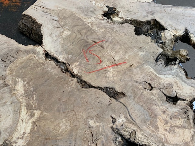 Olive Burl/Root Slab #15 (Domestic) | Tropical Exotic Hardwoods