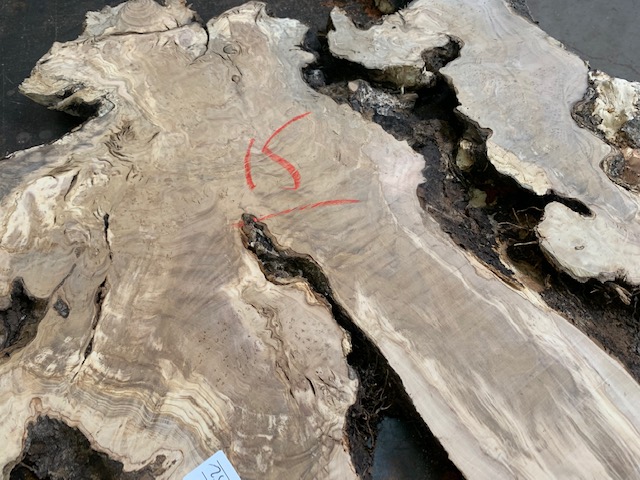 Olive Burl/Root Slab #15 (Domestic) | Tropical Exotic Hardwoods