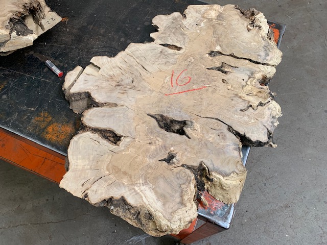Olive Burl/Root Slab #16 (Domestic) | Tropical Exotic Hardwoods