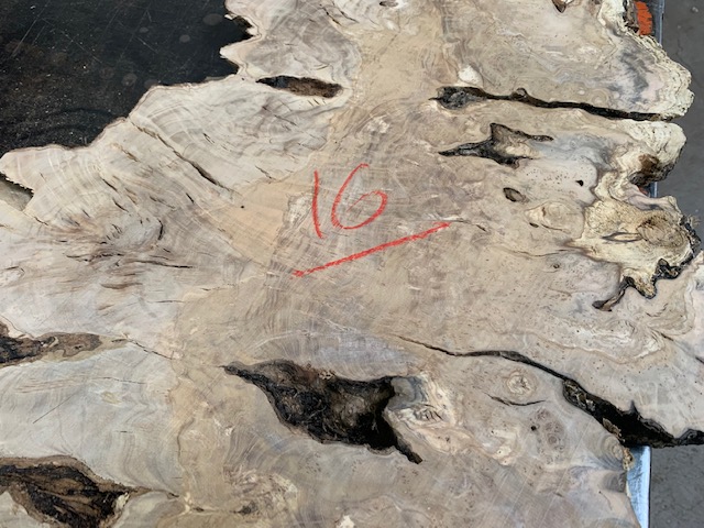 Olive Burl/Root Slab #16 (Domestic) | Tropical Exotic Hardwoods