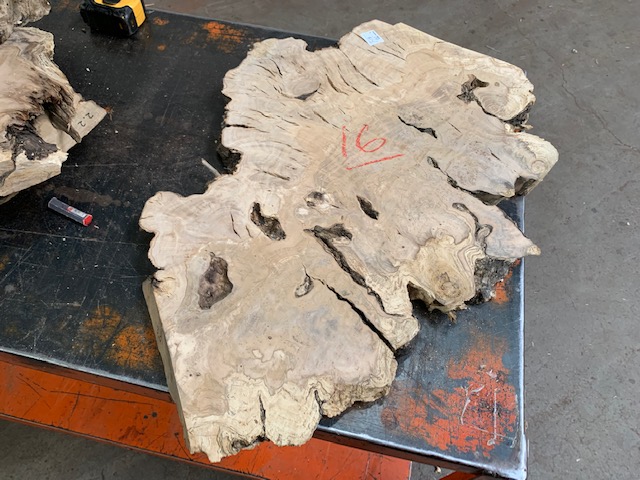 Olive Burl/Root Slab #16 (Domestic) | Tropical Exotic Hardwoods
