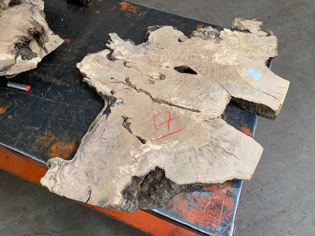 Olive Burl/Root Slab #17 (Domestic) | Tropical Exotic Hardwoods