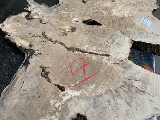 Olive Burl/Root Slab #17 (Domestic) | Tropical Exotic Hardwoods