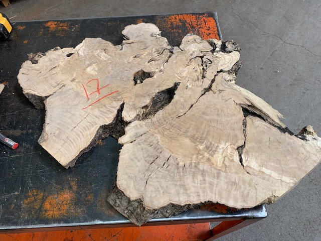 Olive Burl/Root Slab #17 (Domestic) | Tropical Exotic Hardwoods