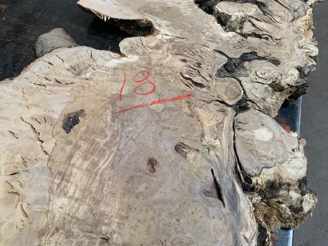 Olive Burl/Root Slab #18 (Domestic) | Tropical Exotic Hardwoods