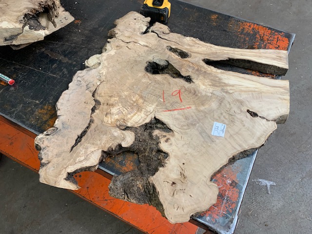 Olive Burl/Root Slab #19 (Domestic) | Tropical Exotic Hardwoods