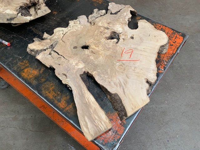 Olive Burl/Root Slab #19 (Domestic) | Tropical Exotic Hardwoods