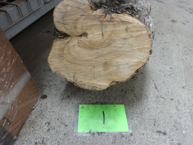 Olive Log #1 | Tropical Exotic Hardwoods