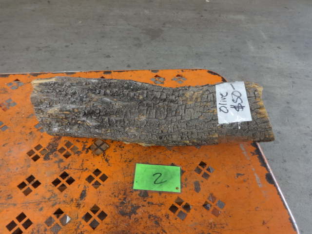 Olive Log #2 | Tropical Exotic Hardwoods
