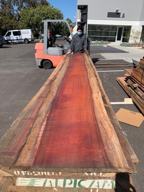 Padauk (Padouk) Slab #20 | Tropical Exotic Hardwoods