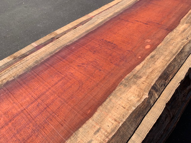 Padauk (Padouk) Slab #20 | Tropical Exotic Hardwoods