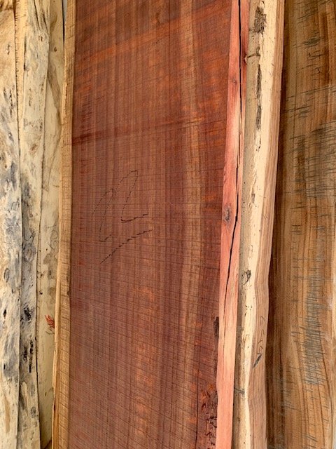 Padauk (Padouk) Slab #22 One Live Edge | Tropical Exotic Hardwoods