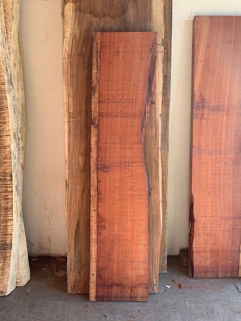 Padauk (Padouk) Slab #25 One Live Edge | Tropical Exotic Hardwoods