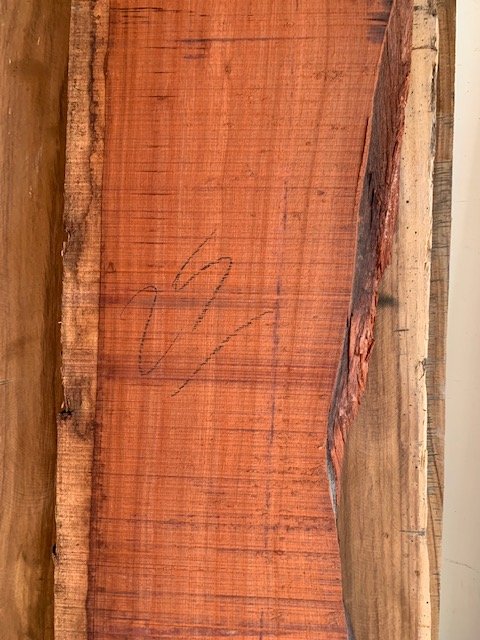 Padauk (Padouk) Slab #25 One Live Edge | Tropical Exotic Hardwoods