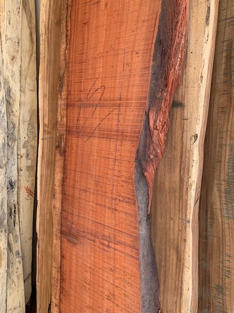 Padauk (Padouk) Slab #25 One Live Edge | Tropical Exotic Hardwoods