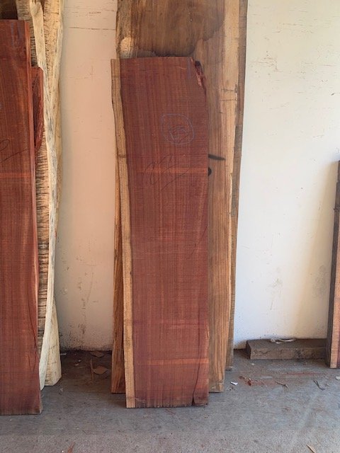 Padauk (Padouk) Slab #27 One Live Edge | Tropical Exotic Hardwoods