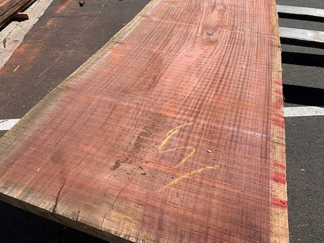 Padauk (Padouk) Slab #5 | Tropical Exotic Hardwoods