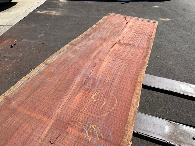 Padauk (Padouk) Slab #5 | Tropical Exotic Hardwoods