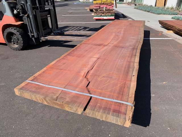 Padauk (Padouk) Slab #5 | Tropical Exotic Hardwoods