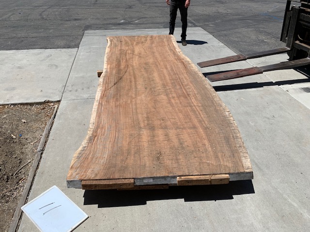 Parota Slab #11 Live Edge | Tropical Exotic Hardwoods