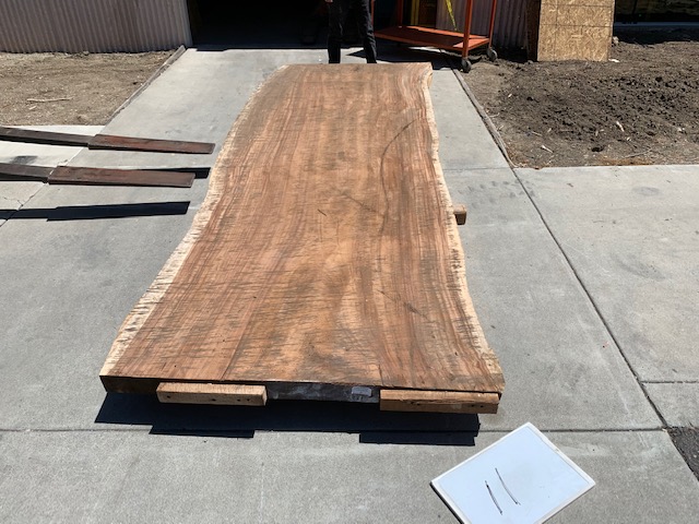 Parota Slab #11 Live Edge | Tropical Exotic Hardwoods