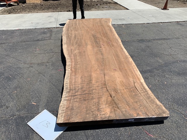 Parota Slab #13 Live Edge | Tropical Exotic Hardwoods