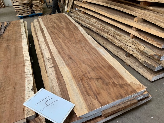 Parota Slab #14 Live Edge | Tropical Exotic Hardwoods