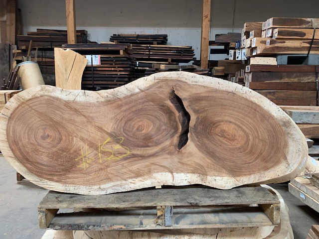 Parota Slab #153 Live Edge | Tropical Exotic Hardwoods