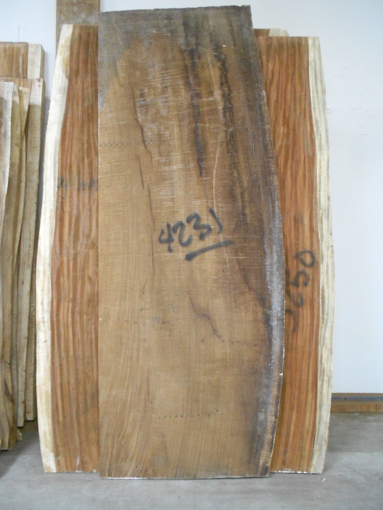 Parota Slab #4231 One Live Edge | Tropical Exotic Hardwoods