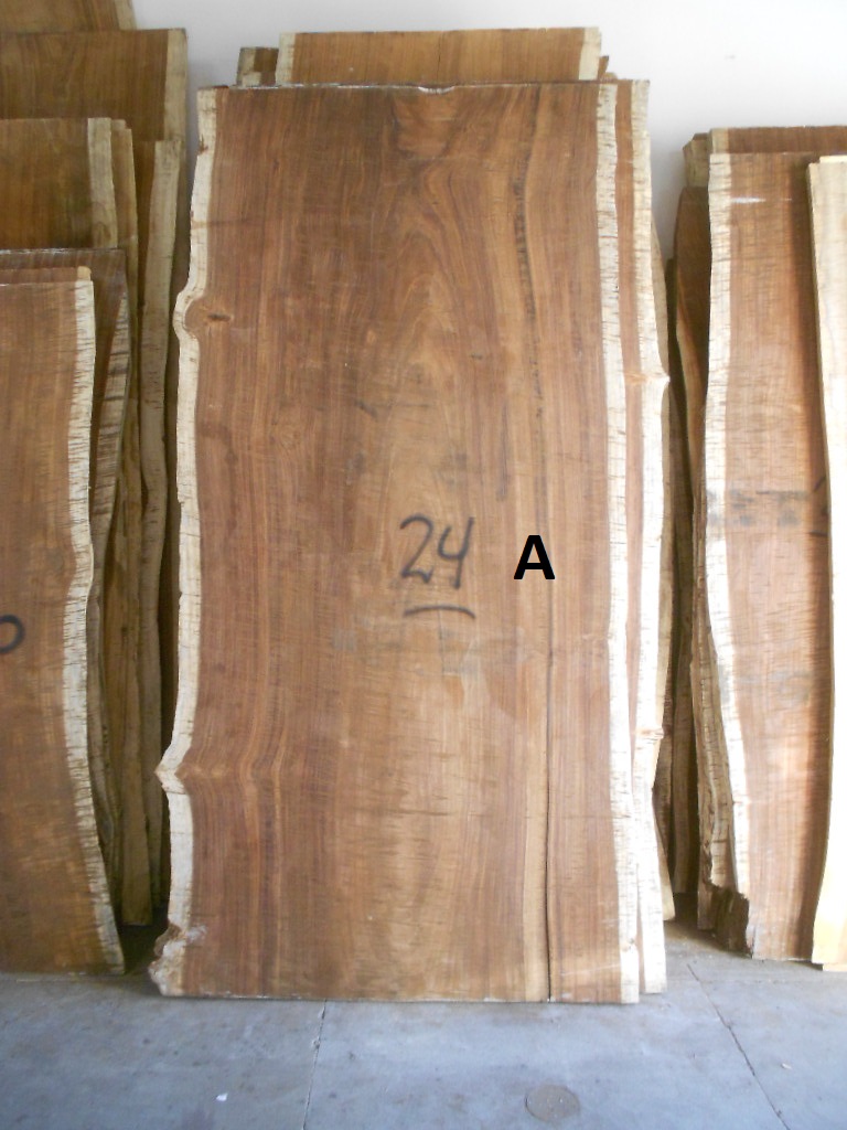 Parota Slab #24a Live Edge | Tropical Exotic Hardwoods