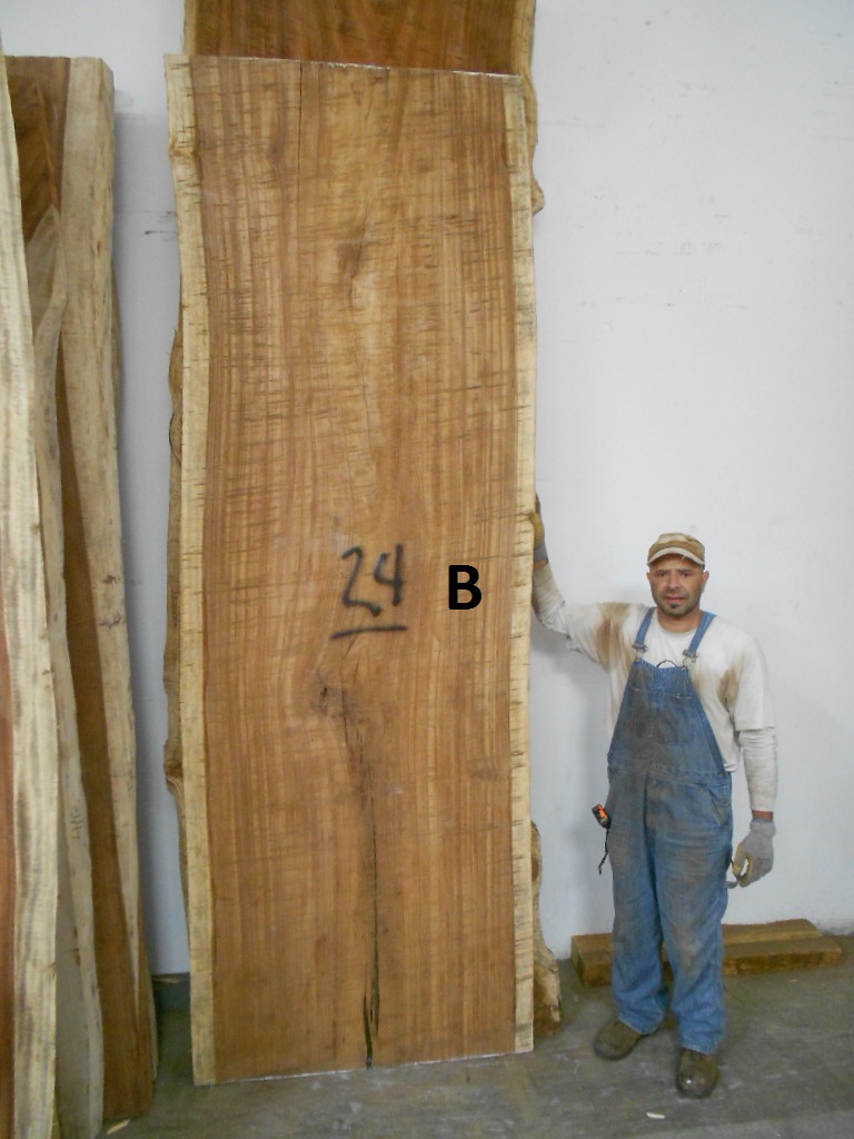 Parota Slab #24b Live Edge | Tropical Exotic Hardwoods