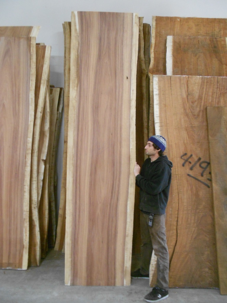 Parota Slab #5262 Live Edge | Tropical Exotic Hardwoods