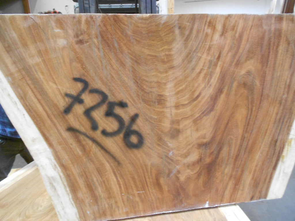 Parota Slab #7256 Crotch | Tropical Exotic Hardwoods