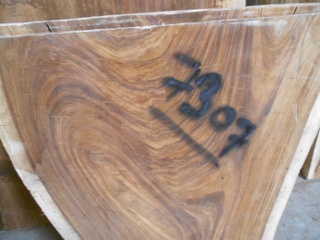Parota Slab #7307 Crotch | Tropical Exotic Hardwoods