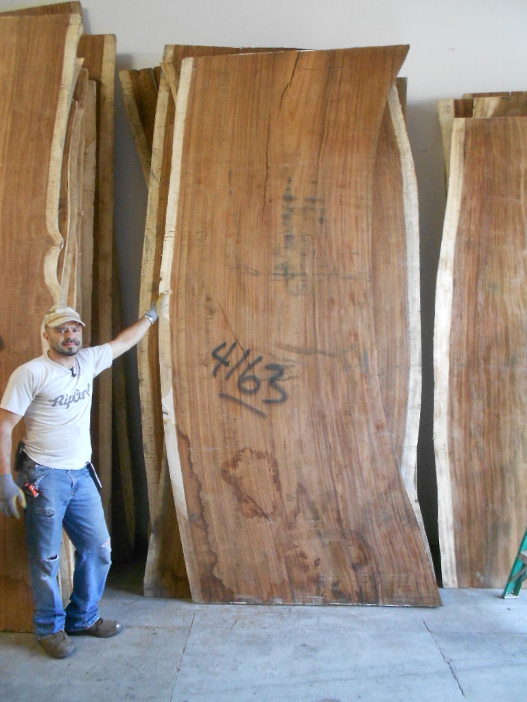 Parota Slab #4163 One Live Edge | Tropical Exotic Hardwoods