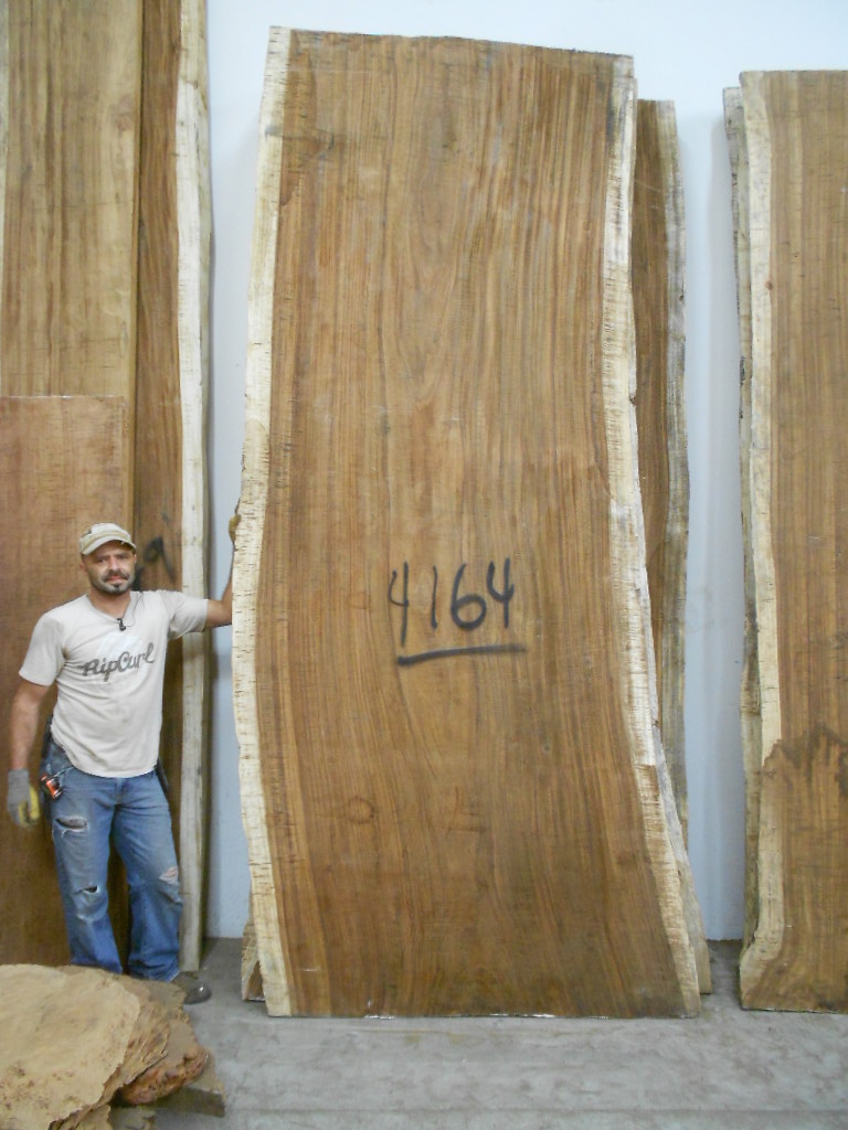 Parota Slab #4164 Live Edge | Tropical Exotic Hardwoods