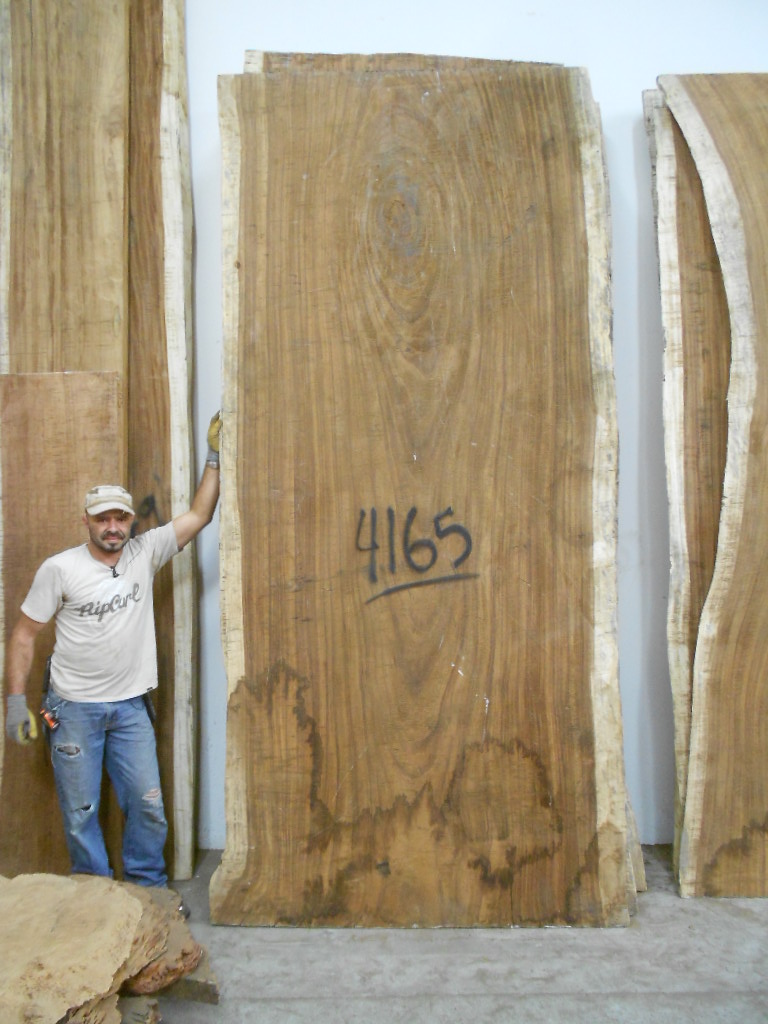Parota Slab #4165 Live Edge | Tropical Exotic Hardwoods