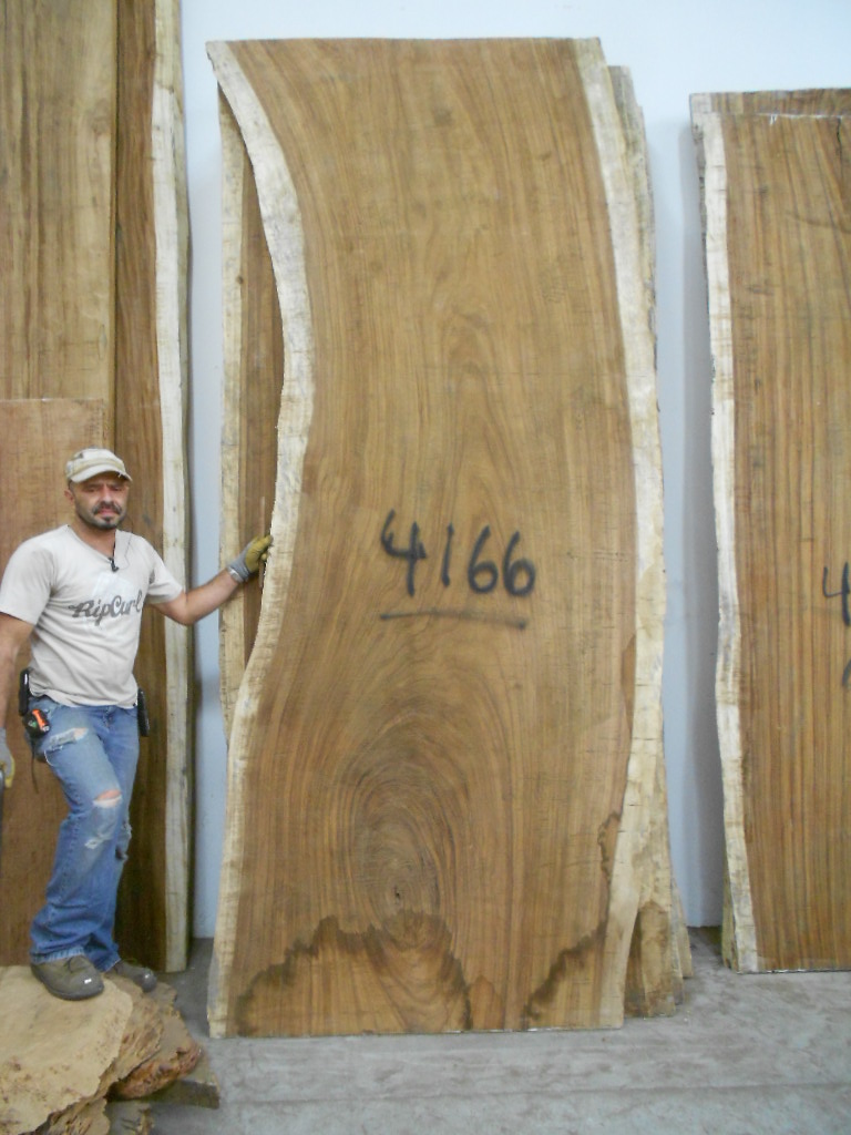 Parota Slab #4166 Live Edge | Tropical Exotic Hardwoods