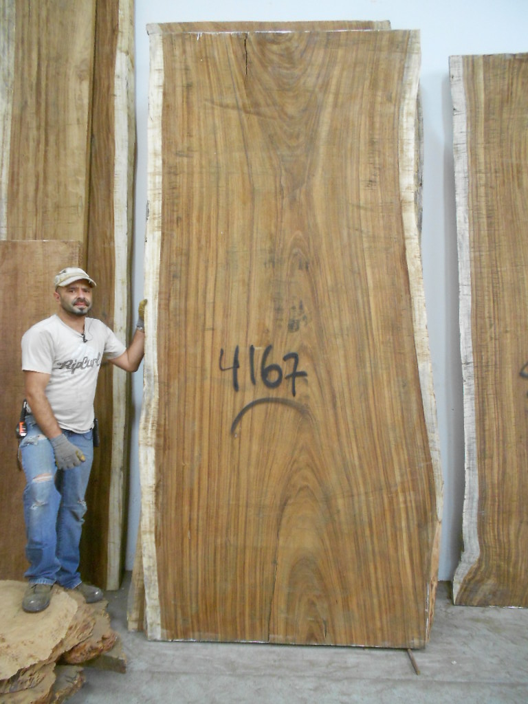 Parota Slab #4167 Live Edge | Tropical Exotic Hardwoods