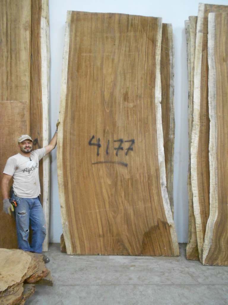 Parota Slab #4177 Live Edge | Tropical Exotic Hardwoods