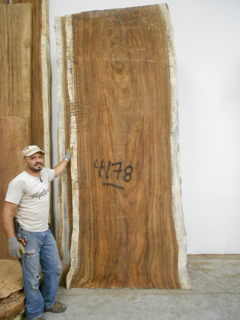 Parota Slab #4178 Live Edge | Tropical Exotic Hardwoods