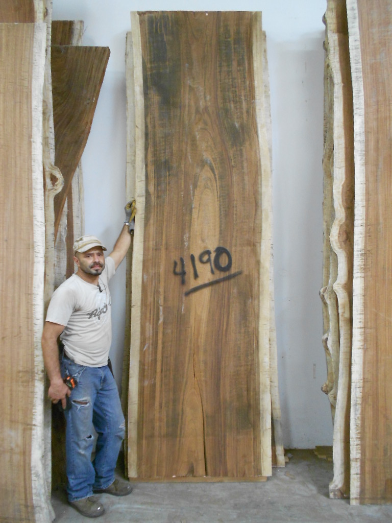 Parota Slab #4190 Live Edge | Tropical Exotic Hardwoods
