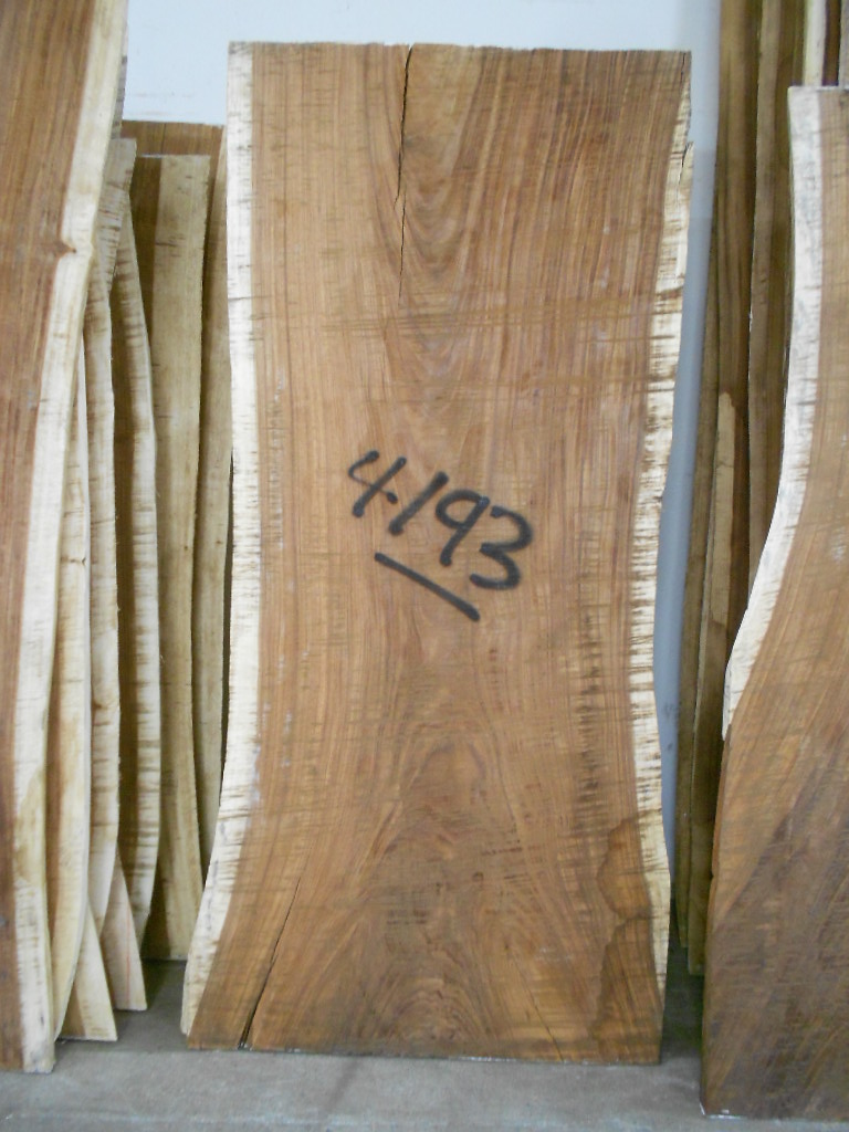 Parota Slab #4193 Live Edge | Tropical Exotic Hardwoods