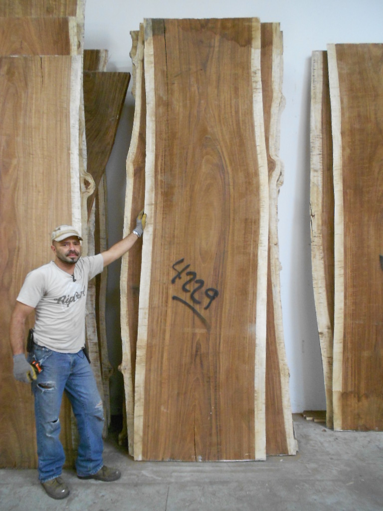 Parota Slab #4229 Live Edge | Tropical Exotic Hardwoods