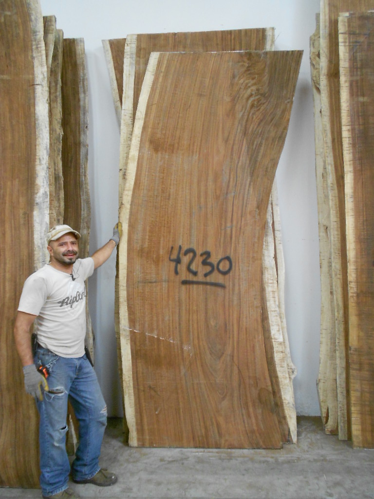 Parota Slab #4230 Live Edge | Tropical Exotic Hardwoods
