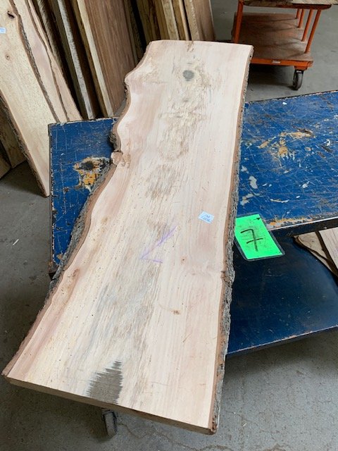 Pecan (Spalted/Buggy) Slab #7 | Tropical Exotic Hardwoods