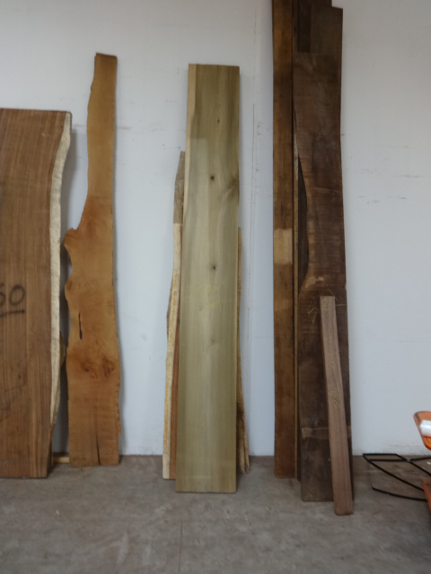 Poplar Slab #1 | Tropical Exotic Hardwoods